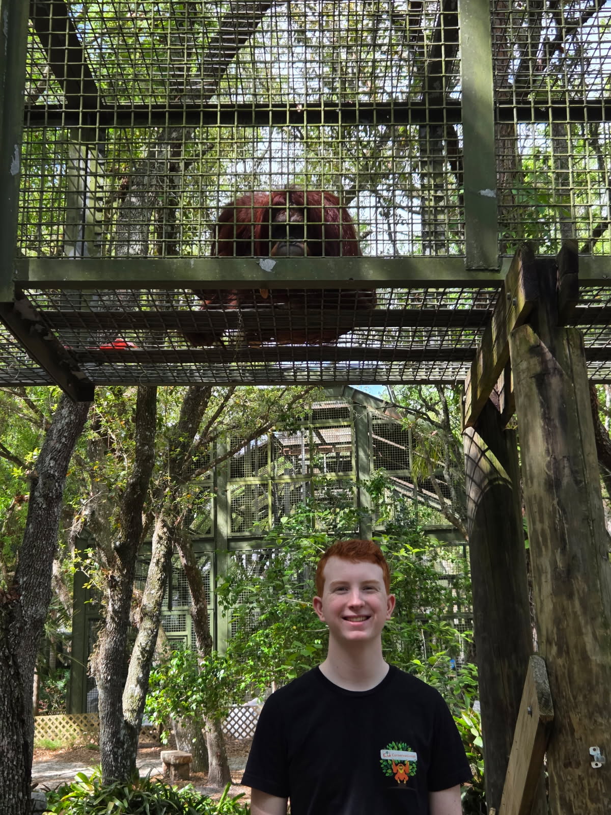The Center for Great Apes Sanctuary - Orang Utan Republik Foundation