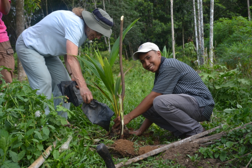People Planting Trees In A Forest